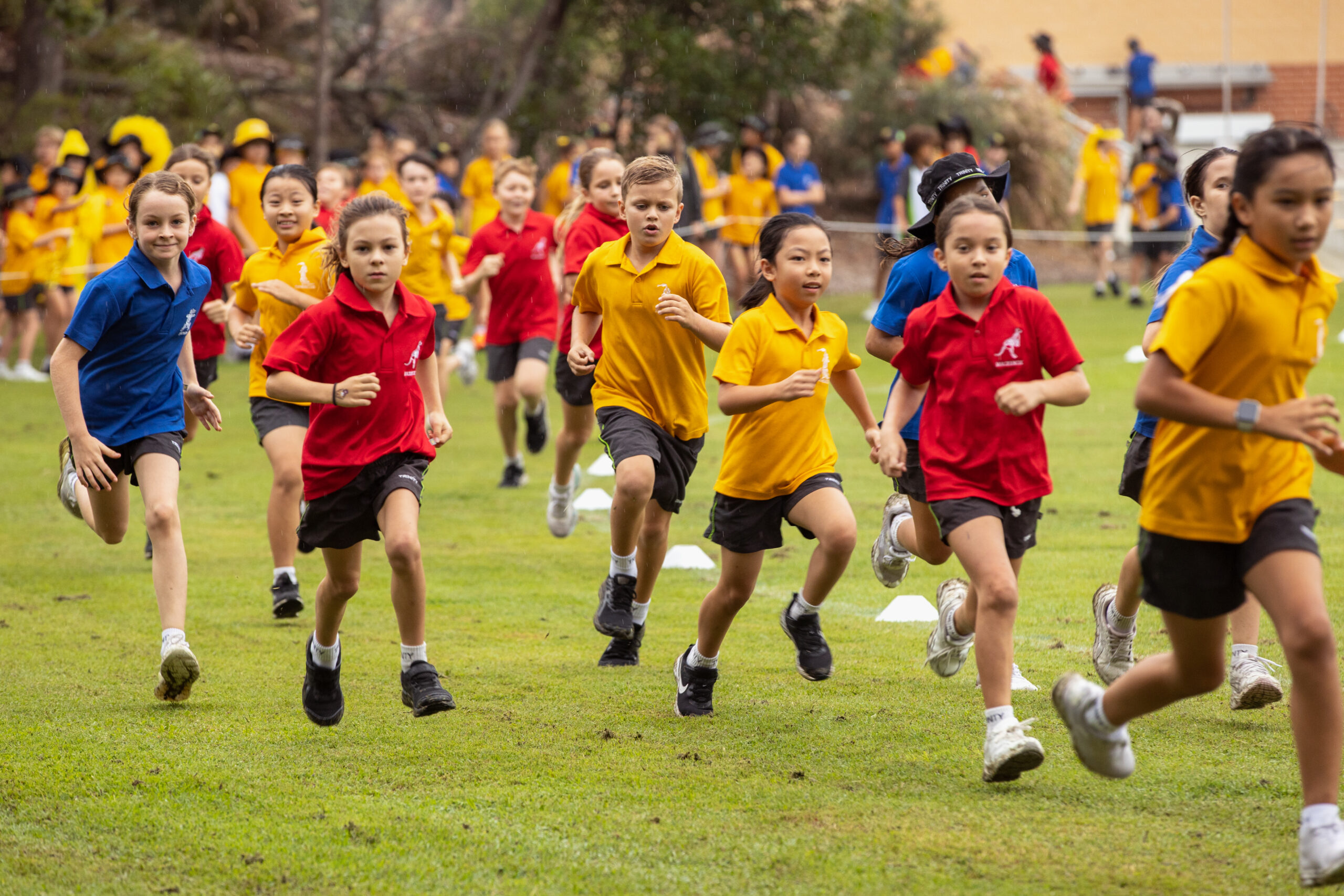 Stamina, Strength and Speed in Sport at Trinity | Trinity Lutheran College